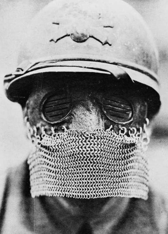 Tankiste masque facial de protection BURYS SHEFFIELD 1918 - Ventes d ...
